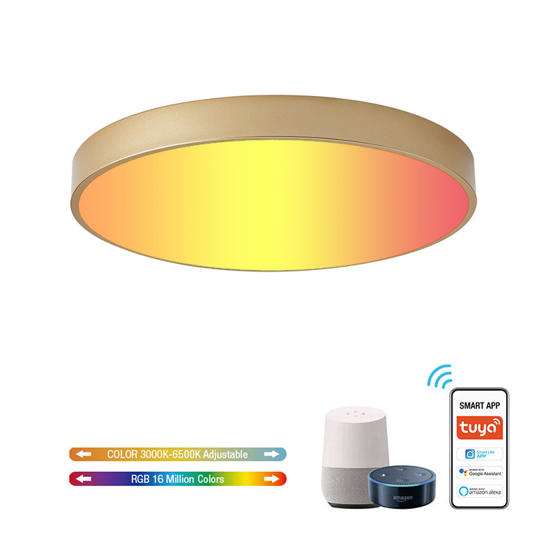 smart Tuya led ceiling light round rgb smart home lighting CCT dimming ...